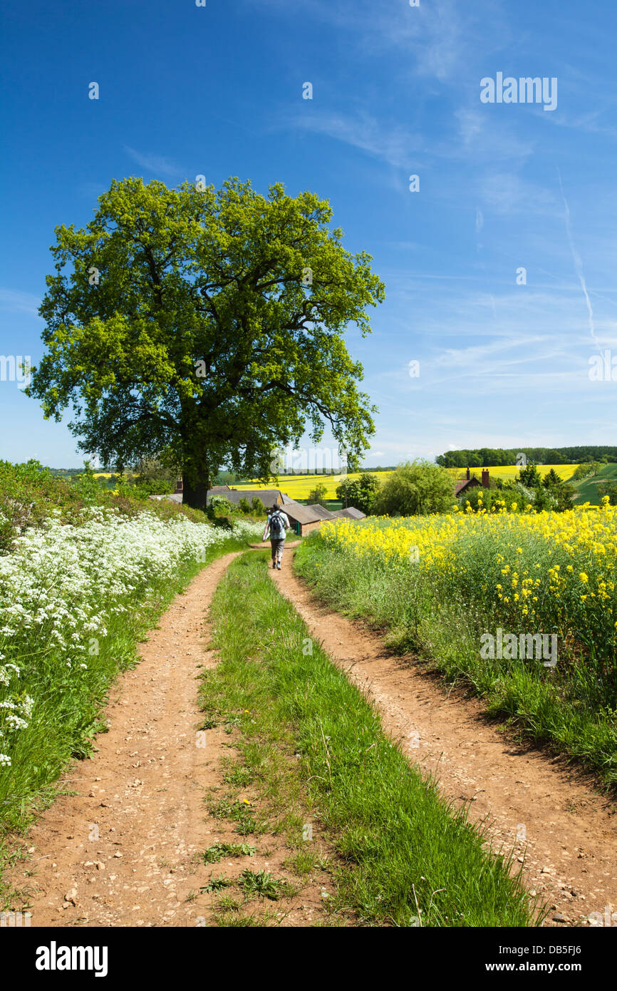Heading out to track hi-res stock photography and images - Alamy