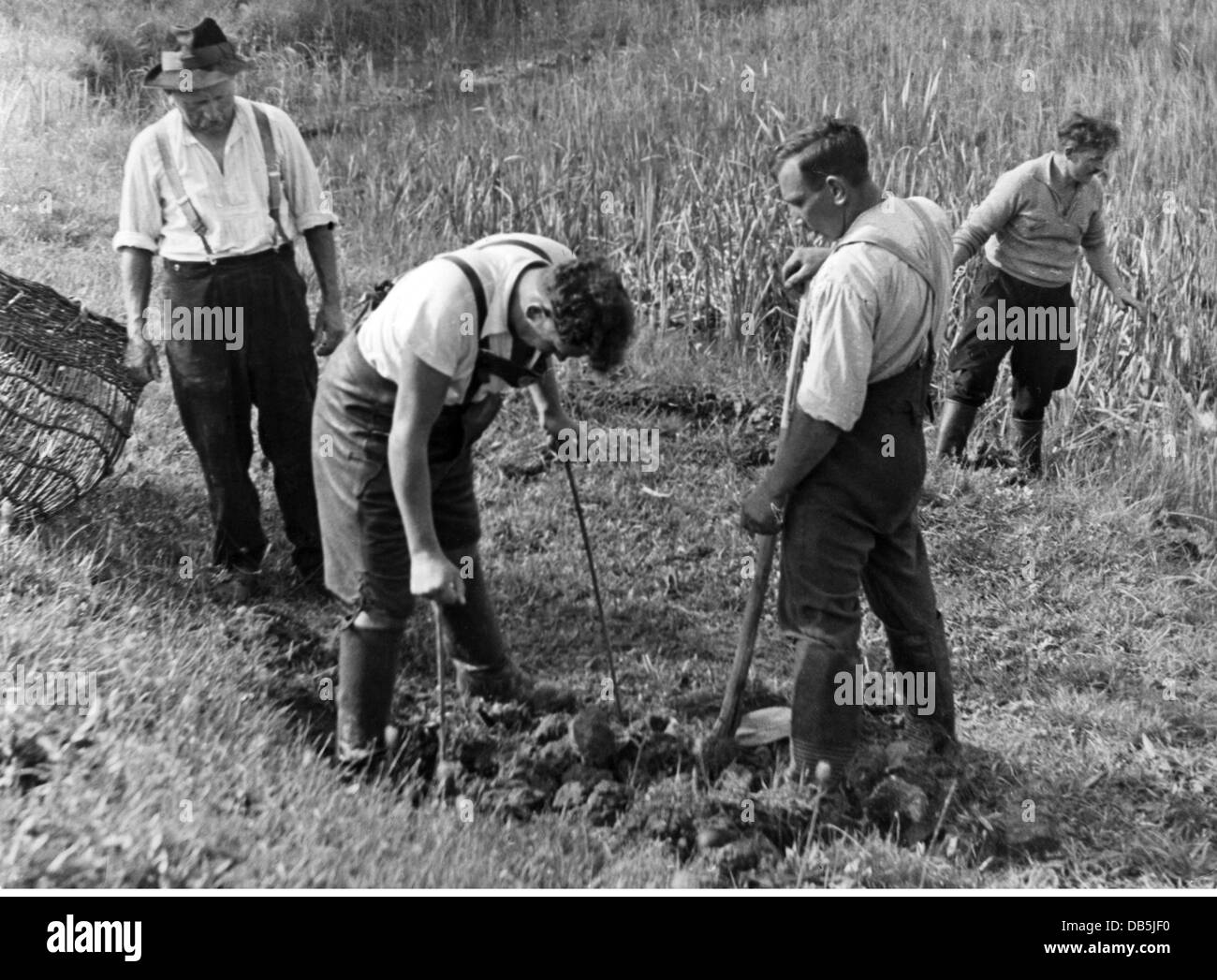 hunting, muscrat hunting in Franconia, hunters on a field, 1930s ...