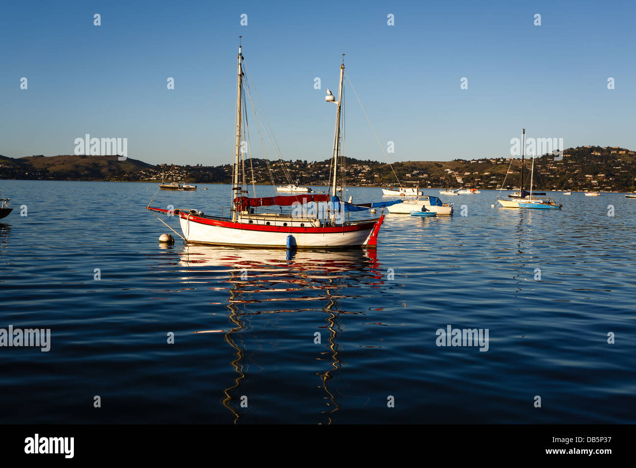 Colorful, peaceful harbor filled with sailboats at dawn Stock Photo - Alamy