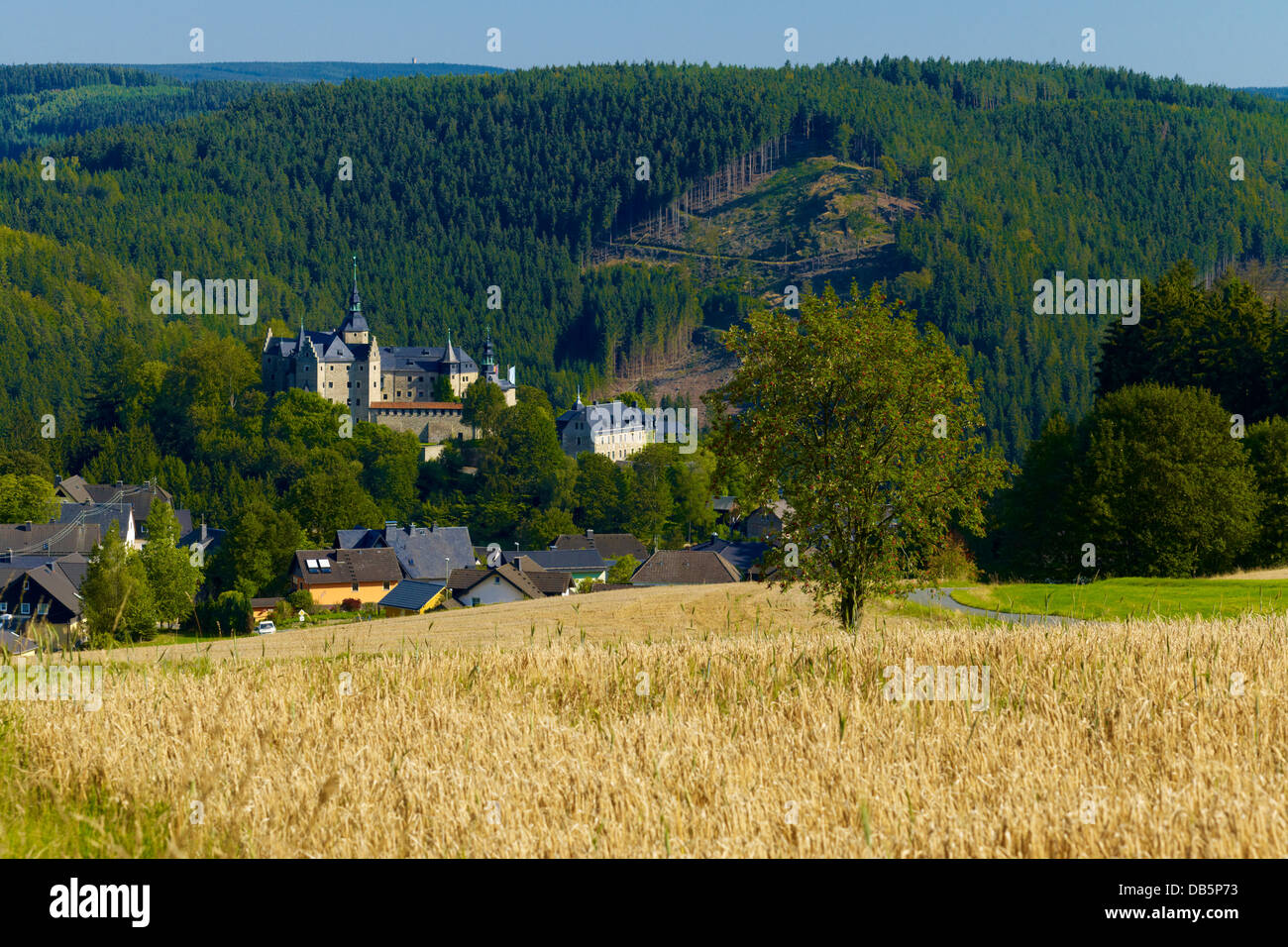 Lauenstein Castle and neighborhood near Ludwigsstadt, Upper Franconia ...