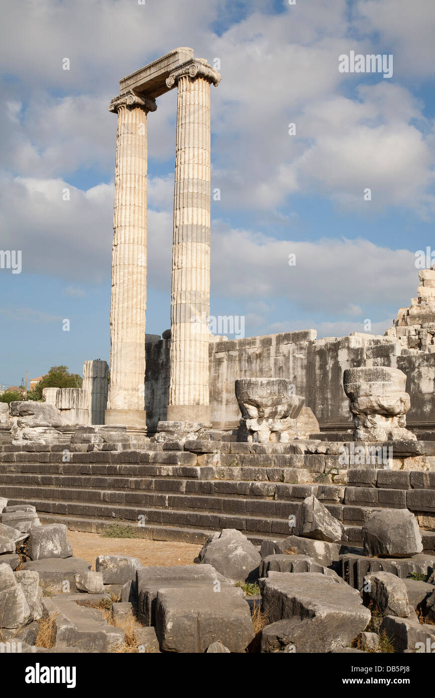 temple of apollo, archeological area, didyma, southern aegean coast ...