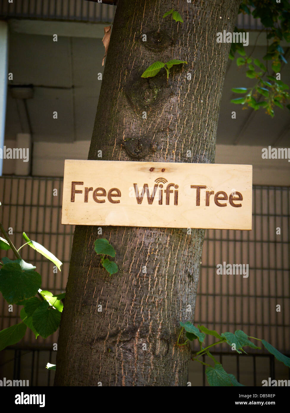 Free Wifi Tree sign in Manchester UK Stock Photo - Alamy
