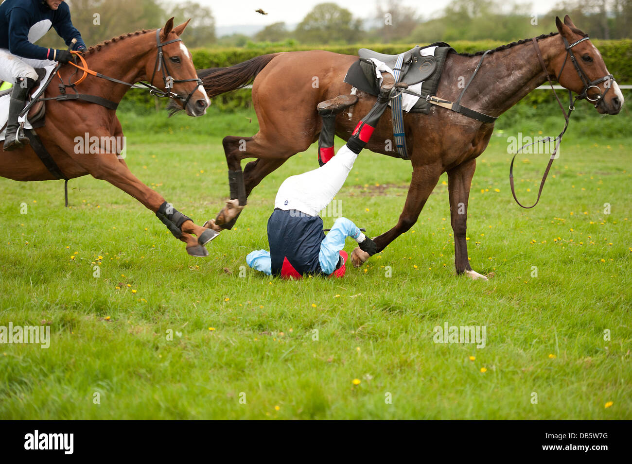 Horse rider dragged by horse Stock Photo - Alamy