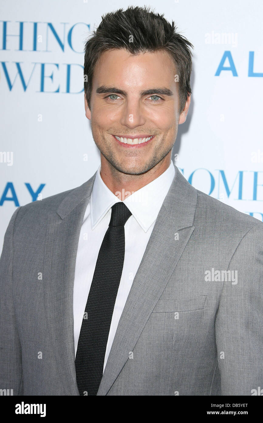 Colin Egglesfield Los Angeles Premiere of "Something Borrowed" held at ...