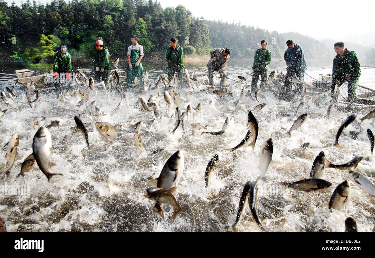 Easy Fishing Fishermen fishing the Xiannv Lake, Xinyu, Jiangxi province ...