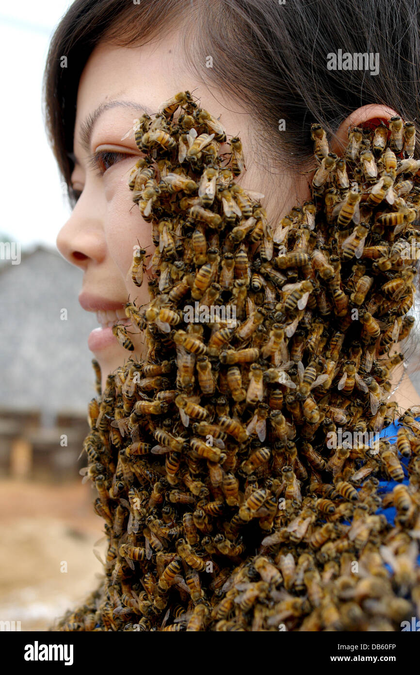 Buzzy Farmers Bee farmers put on a display at a bee farm in south China ...