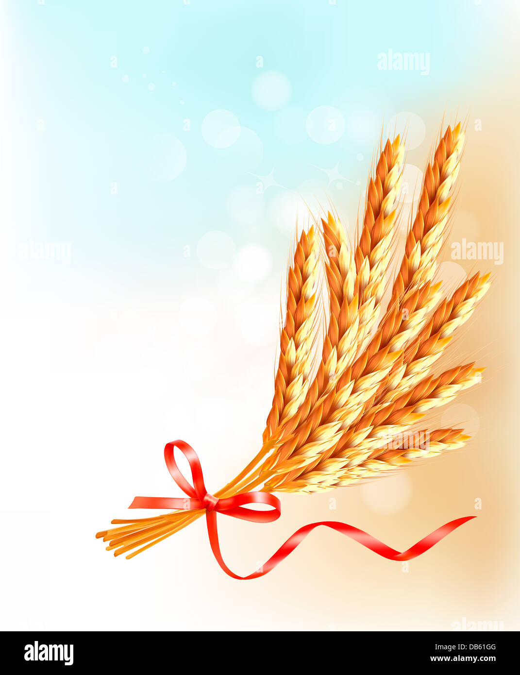 Ear of wheat red ribbon hi-res stock photography and images - Alamy
