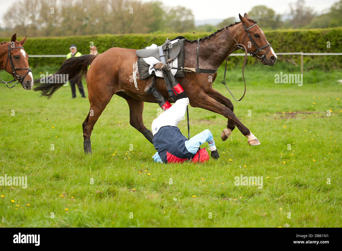 People Being Dragged By Horses
