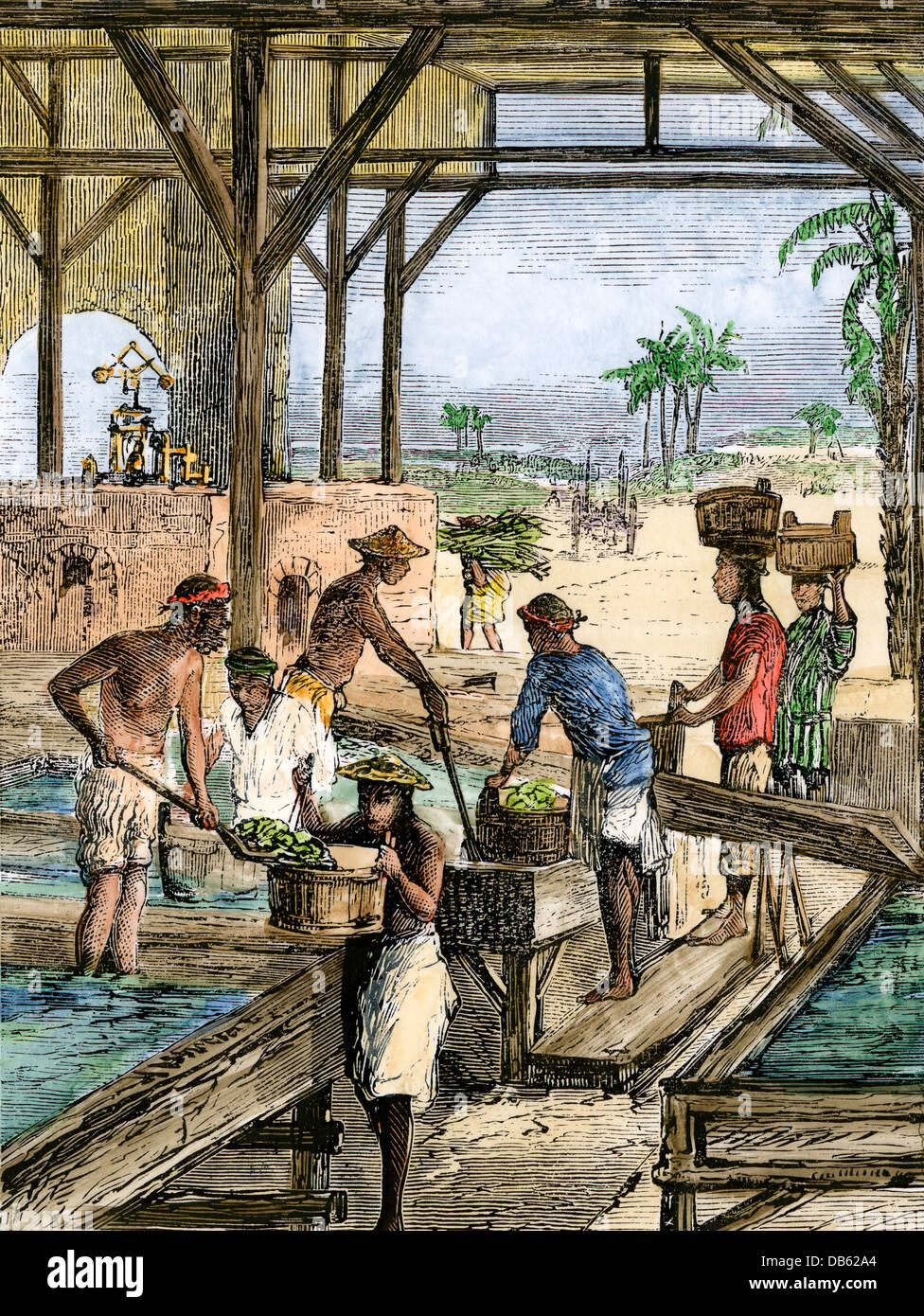 Caribbean slavery historical hi-res stock photography and images - Alamy
