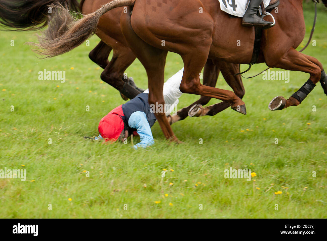 People Being Dragged By Horses