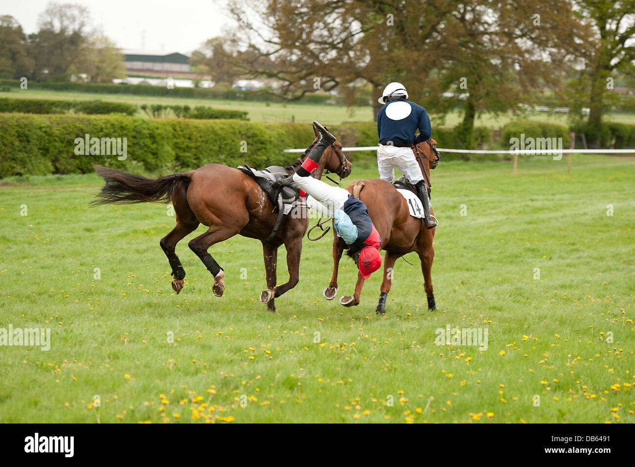 Horse rider dragged by horse Stock Photo - Alamy