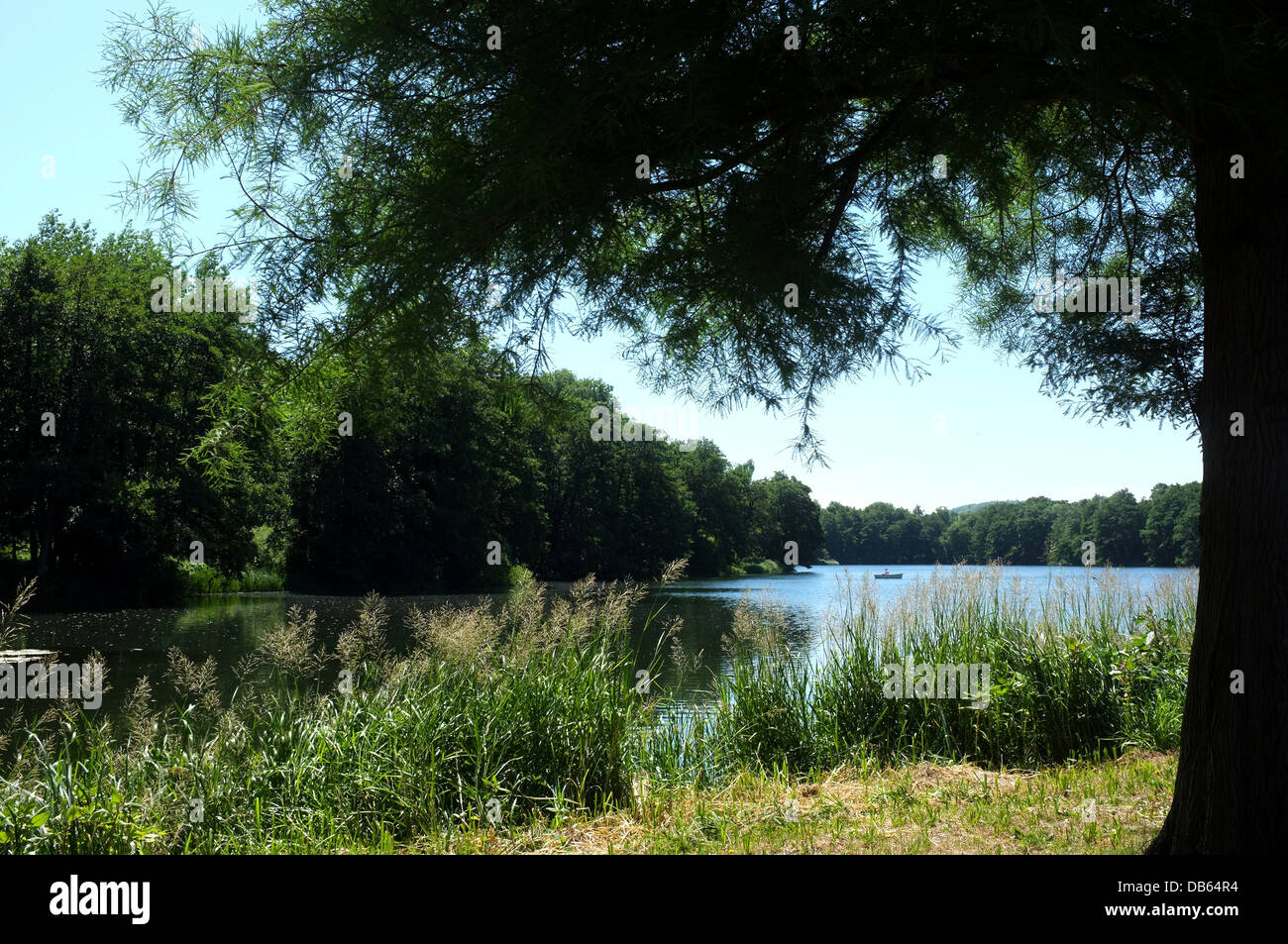 lullingstone country park kent uk 2013 Stock Photo - Alamy