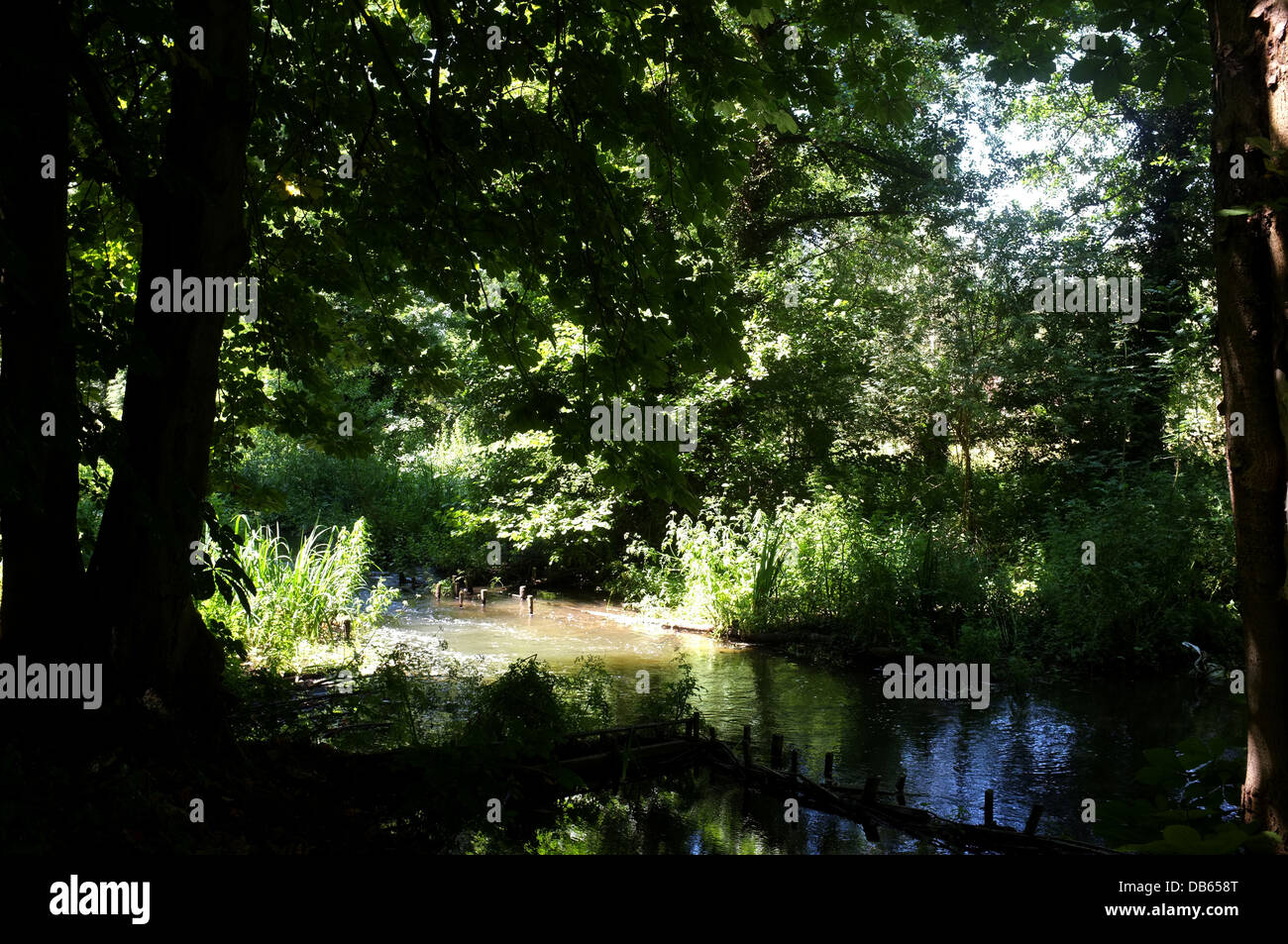 lullingstone country park kent south east of england uk 2013 Stock ...