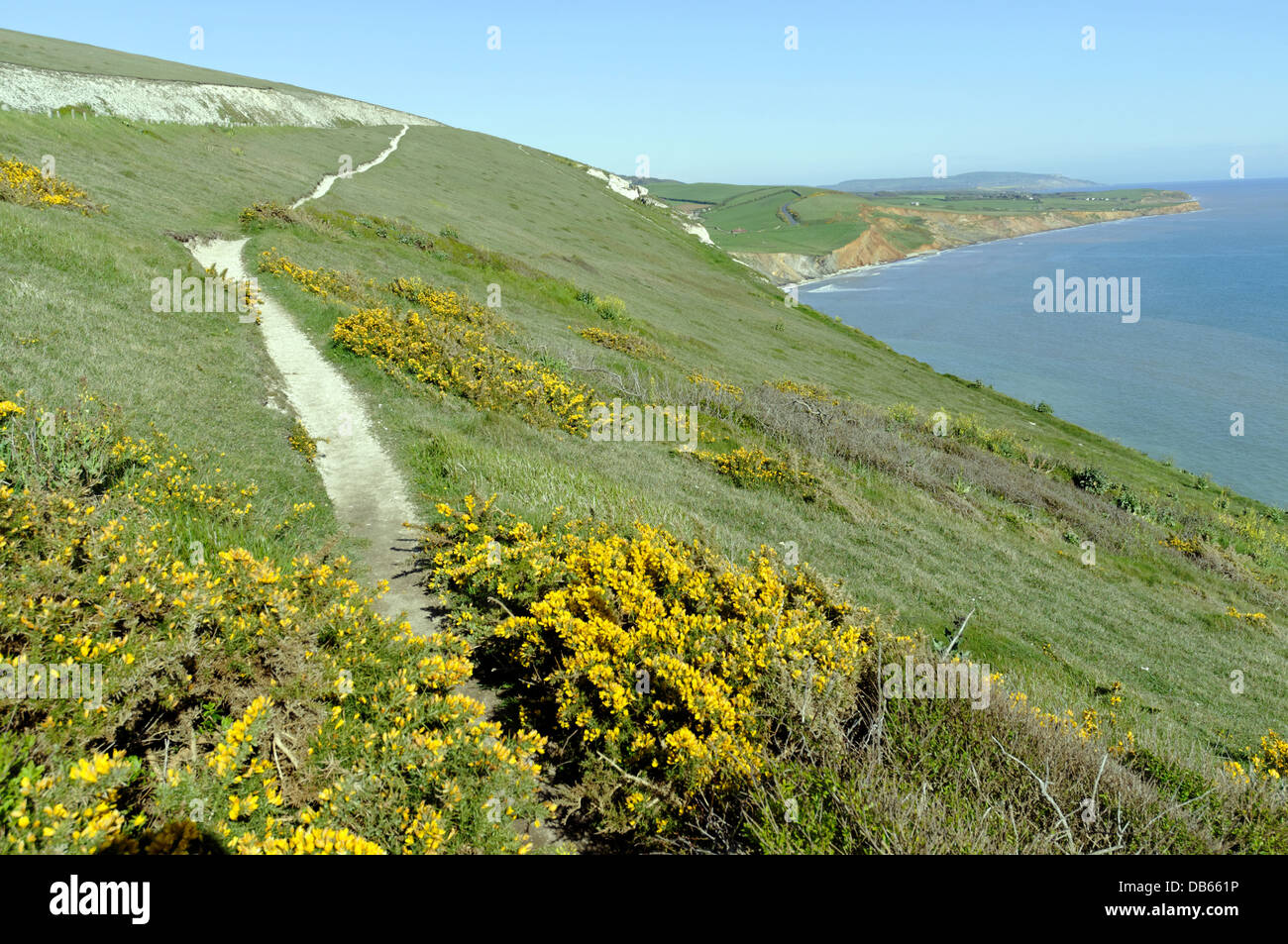 Footpath, Compton Down, and Compton Bay, Isle of Wight, England, UK, GB ...
