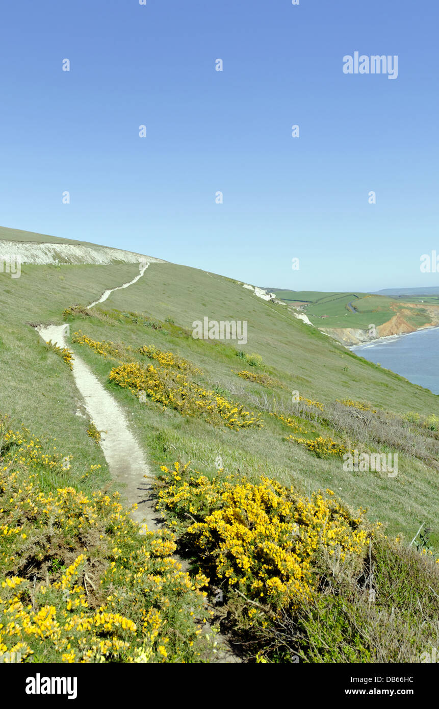 Footpath, Compton Down, Isle of Wight, England, UK, GB Stock Photo - Alamy