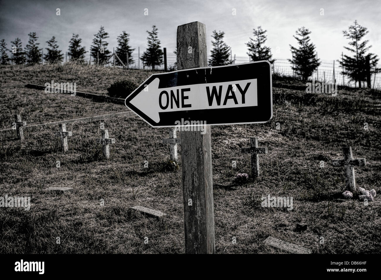 One way sign in graveyard Stock Photo - Alamy