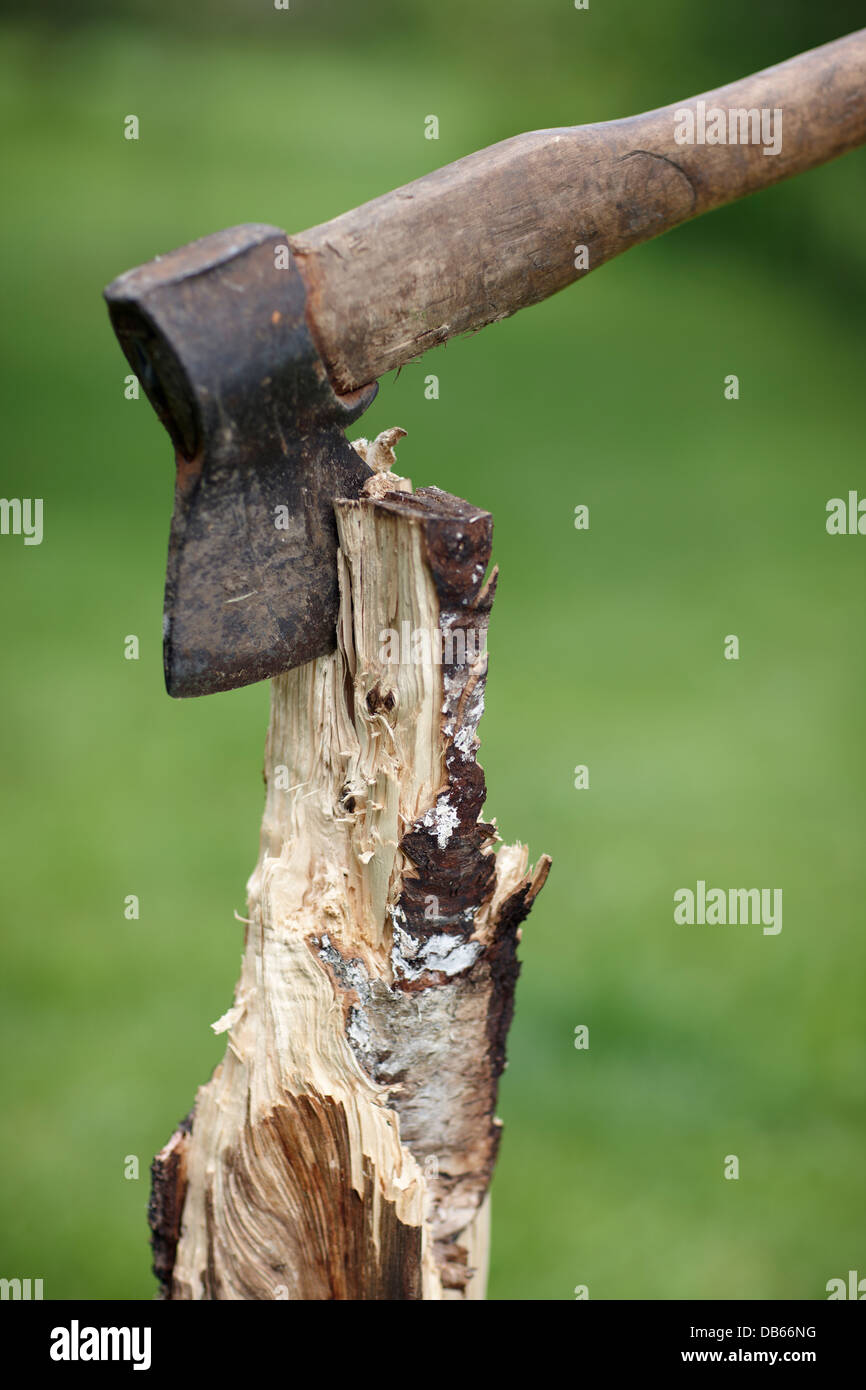 Axe splitting log Stock Photo - Alamy