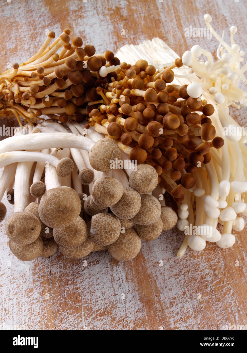Golden Enoki,white Enoki Brown Shimejii mushrooms Stock Photo - Alamy