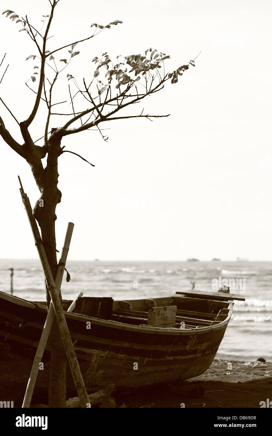 A boat with a tree Stock Photo - Alamy