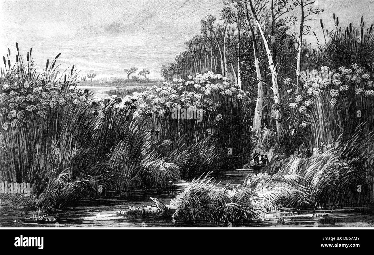 geography / travel, Egypt, landscapes, landscape on the lower Nile with ...