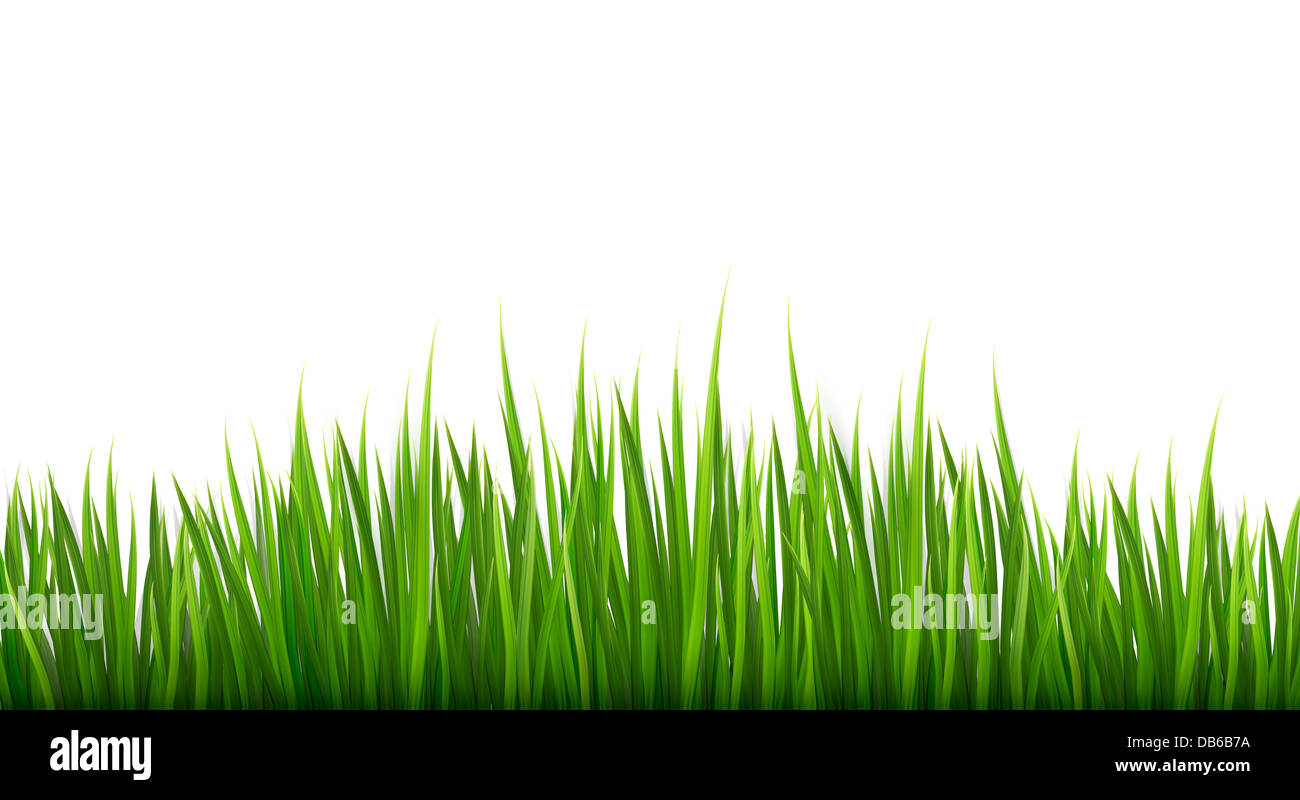 Nature background with green grass. Vector Stock Photo - Alamy