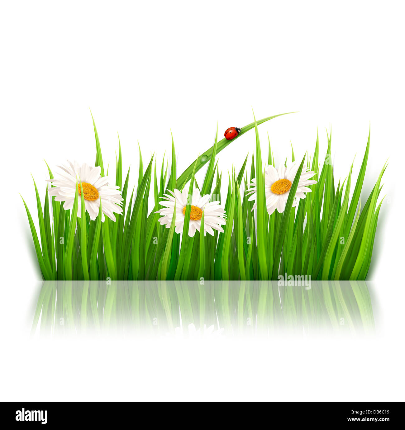 Nature background with green grass and flowers Vector Stock Photo - Alamy