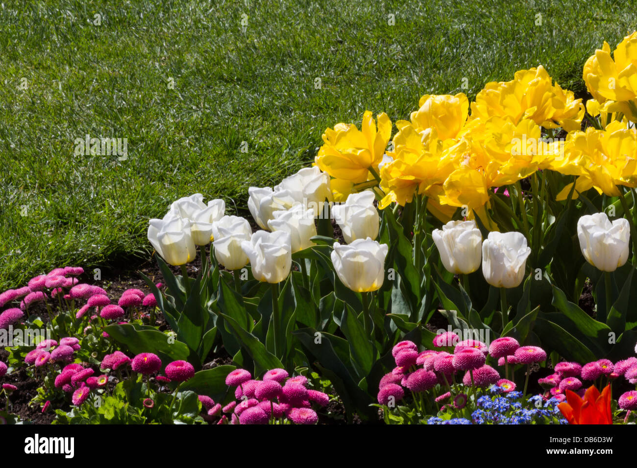 Flower garden at spring season Stock Photo - Alamy
