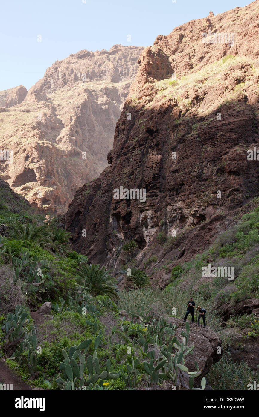 Masca Gorge Hiking Tour, Tenerife, Canary Islands, Spain Stock Photo ...