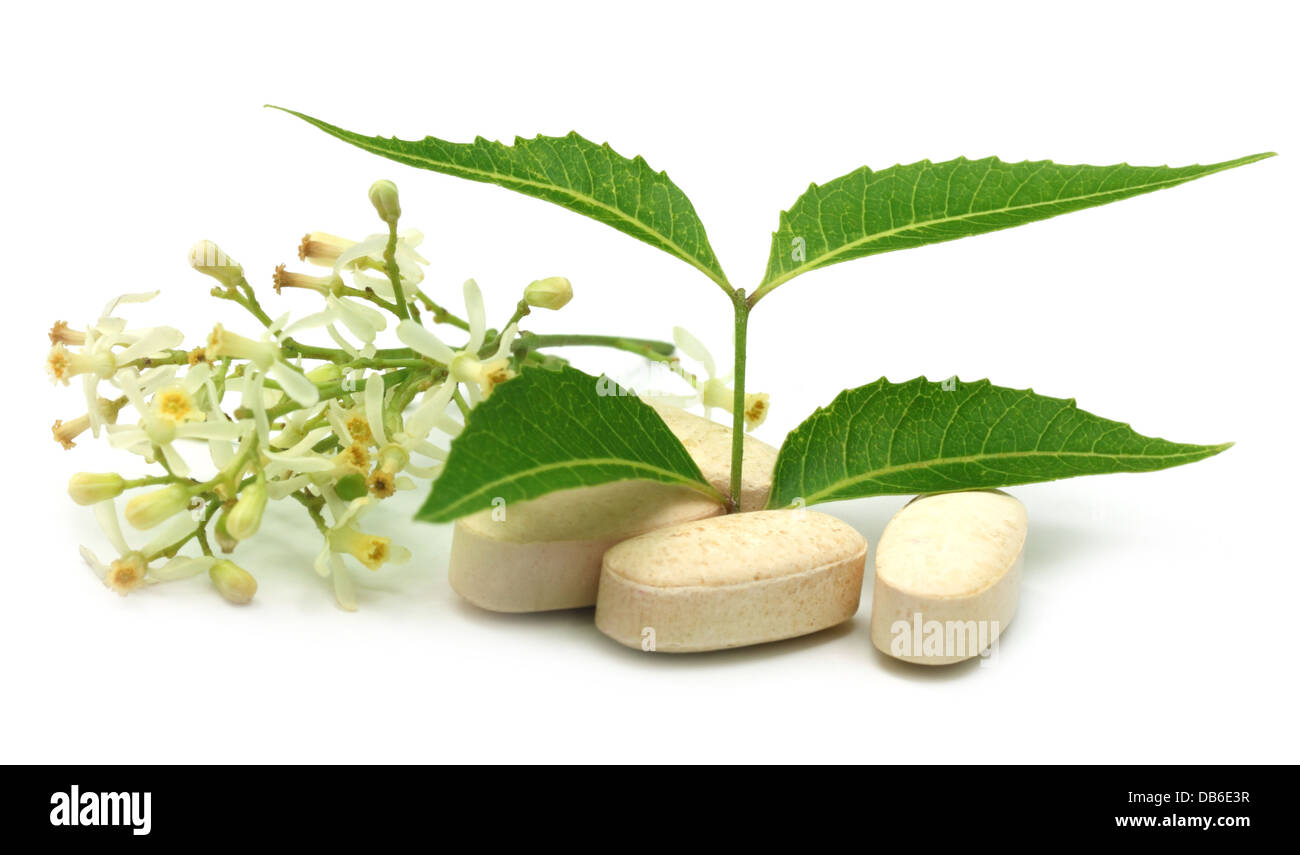 Pills made from medicinal neem Stock Photo - Alamy