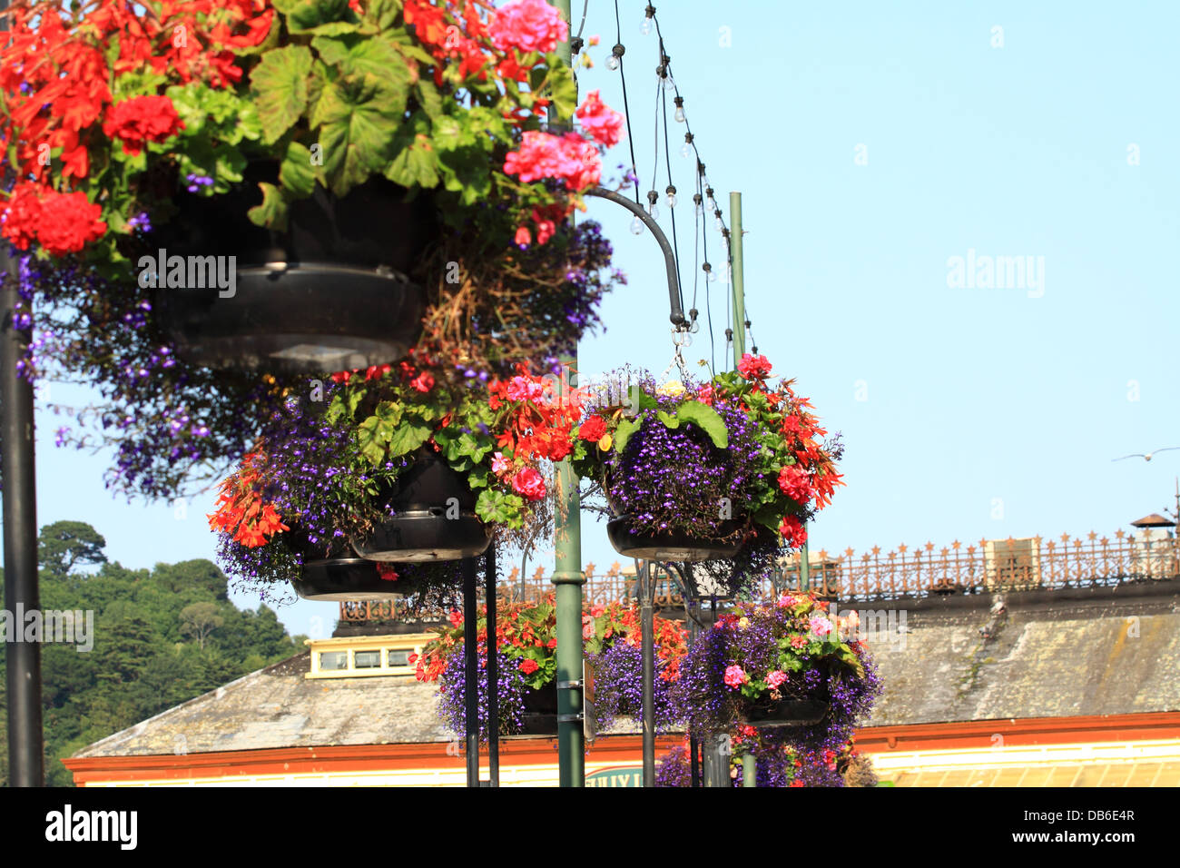 Very colourful hanging baskets hi-res stock photography and images - Alamy