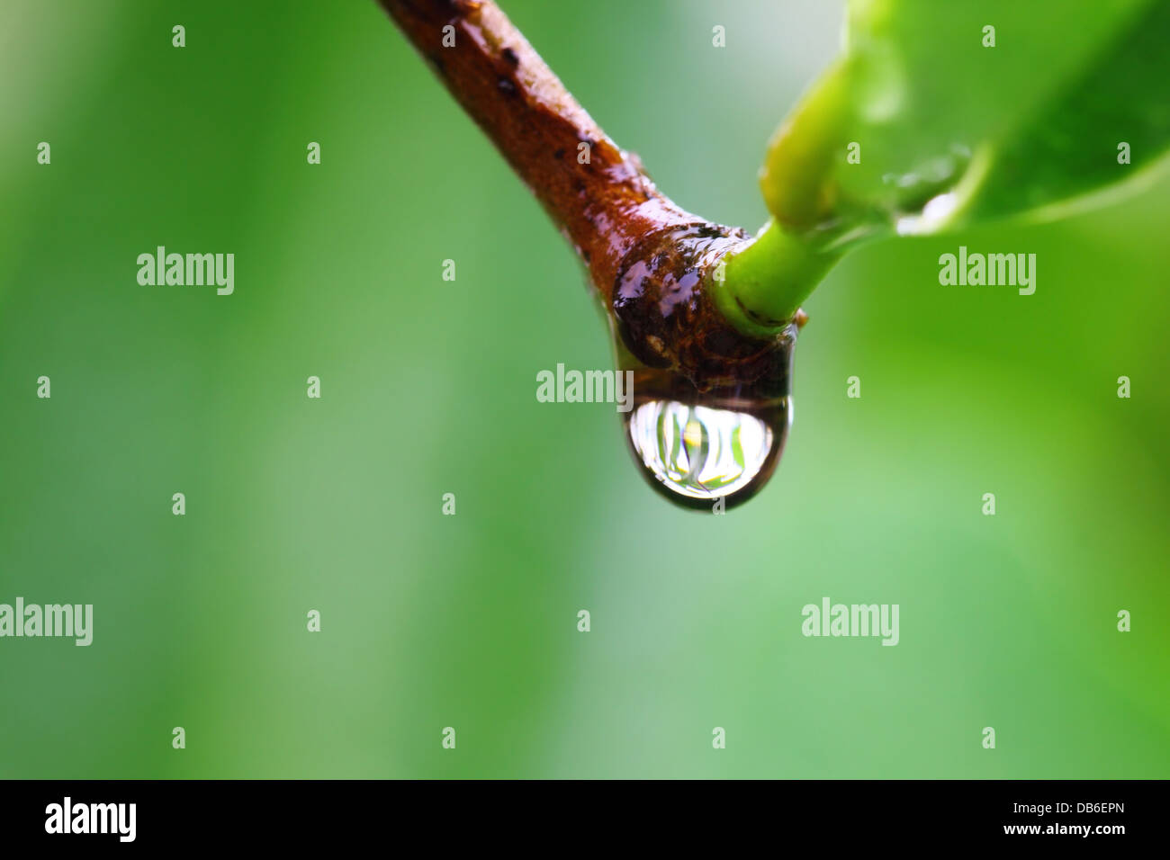 Falling water drop Stock Photo - Alamy