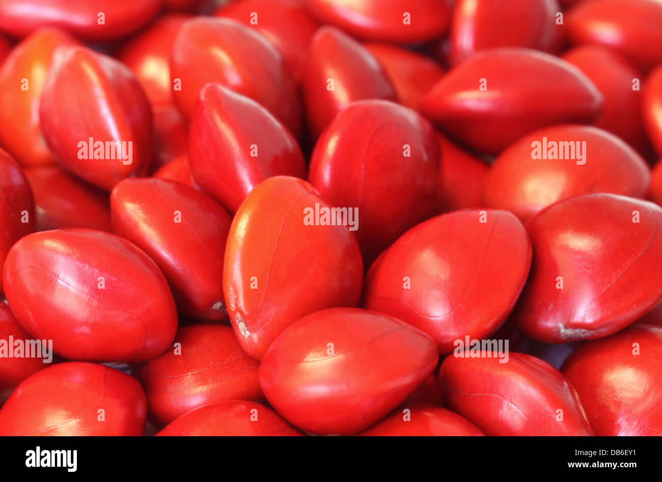 Sandalwood Seeds as background Stock Photo - Alamy