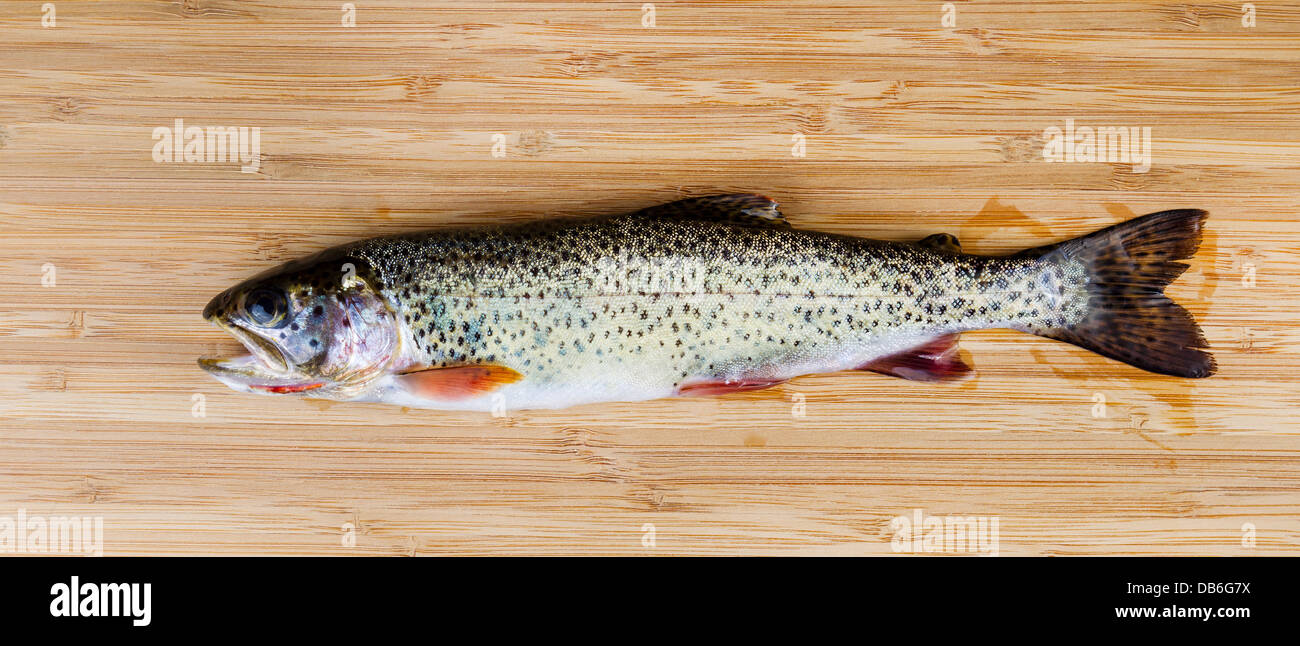 Cutthroat trout hi-res stock photography and images - Alamy