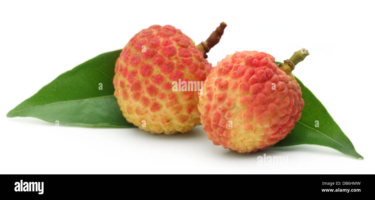 Fresh Two Lychee with leaves over white background Stock Photo - Alamy