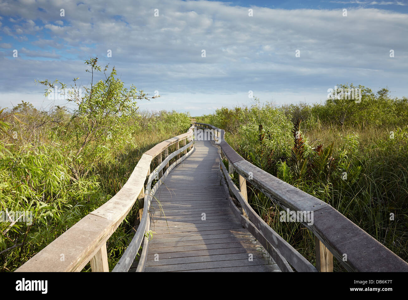 Boardwalk at Chekika, Everglades, Florida Stock Photo - Alamy