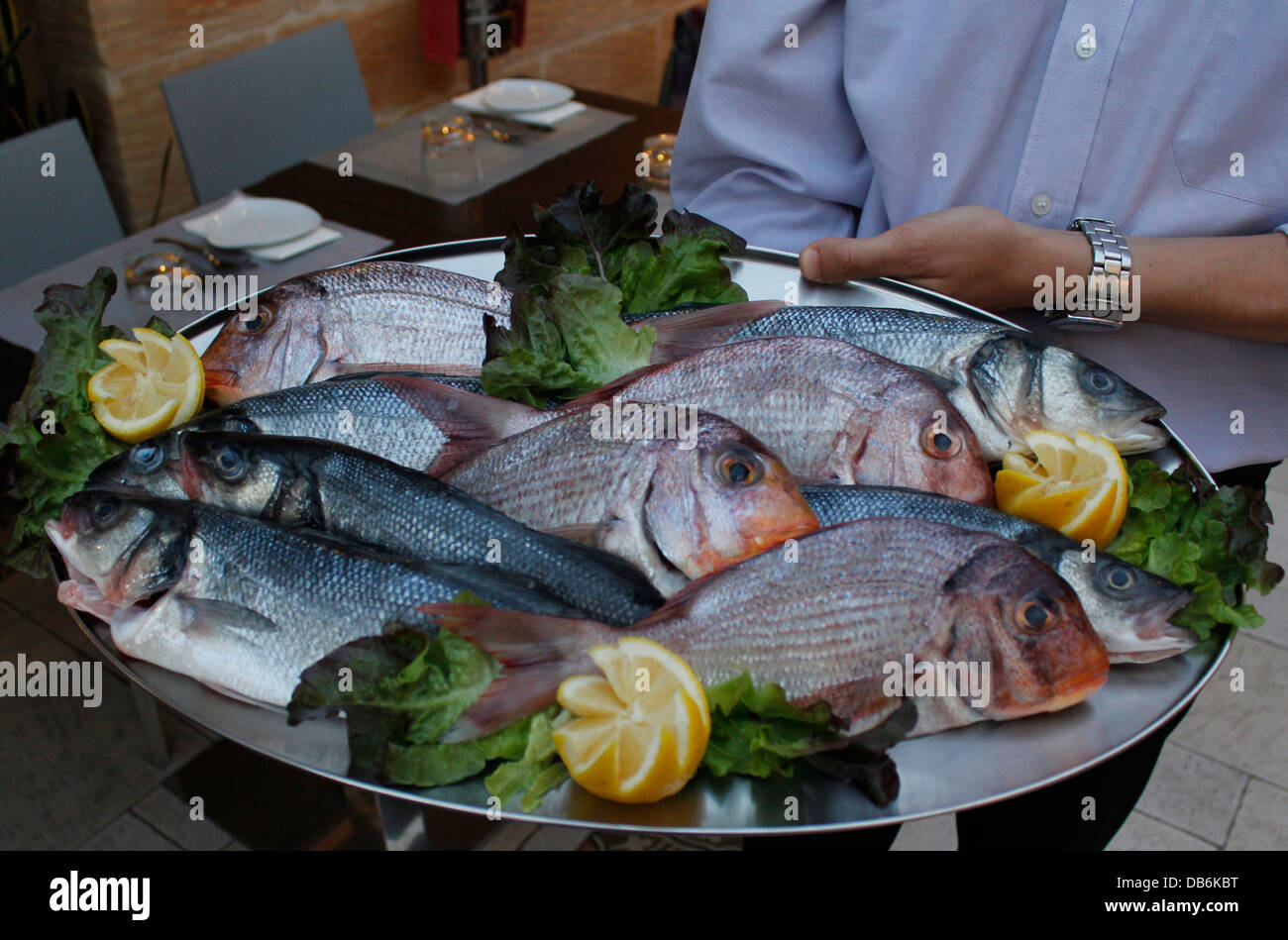 A waiter holds a tray with collection of fresh fishes in a restaurant ...