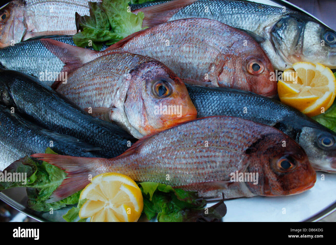 Fresh seafood restaurant malta hi-res stock photography and images - Alamy