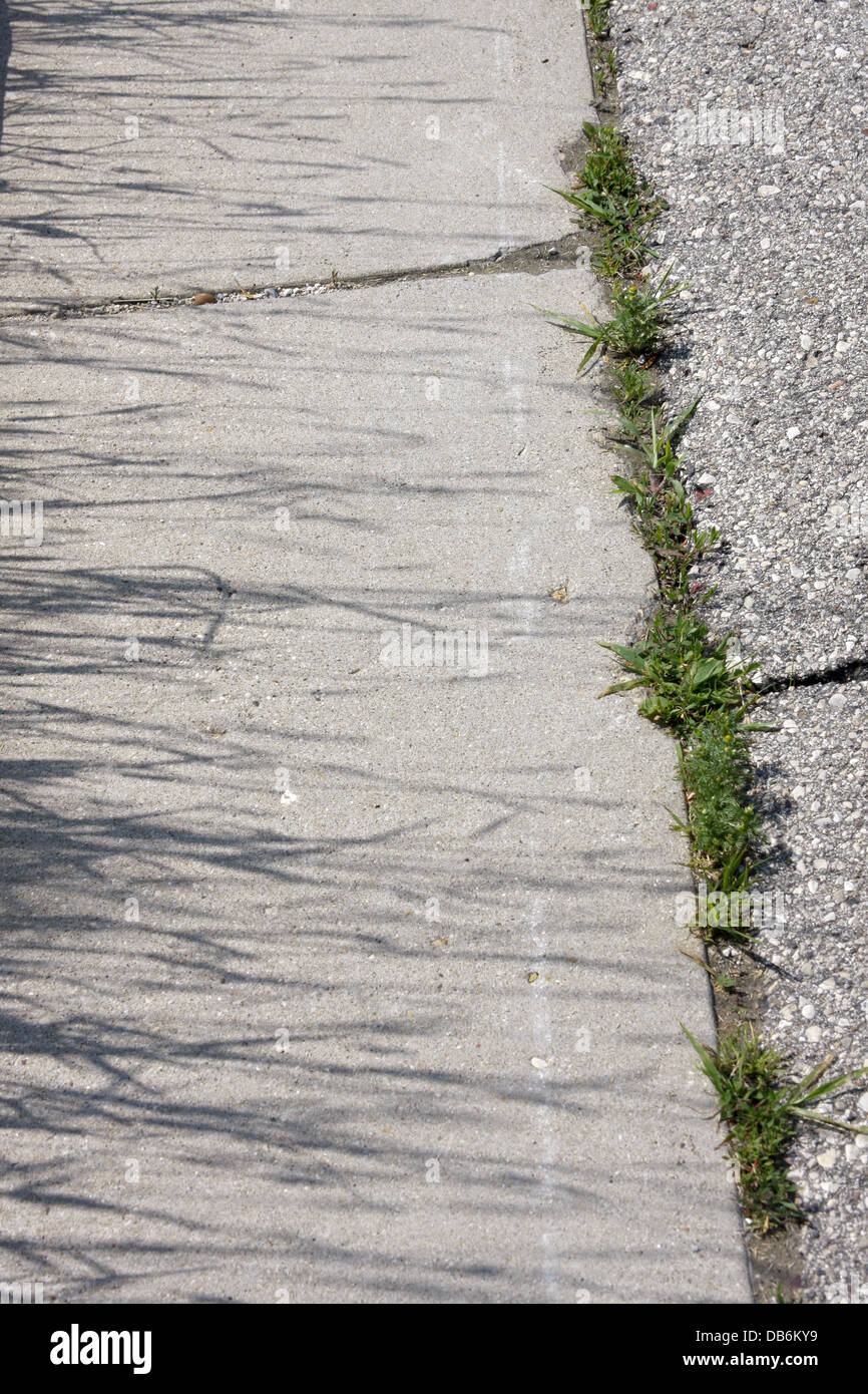 Tall grass giving a shadow along a curb lined asphalt street Stock ...
