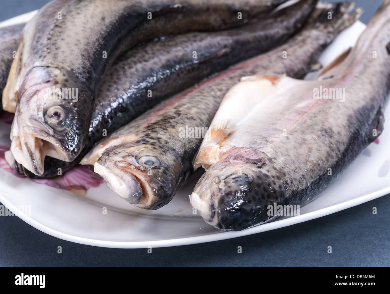 Several pieces of fresh trout on plate on a gray background. Fish head ...