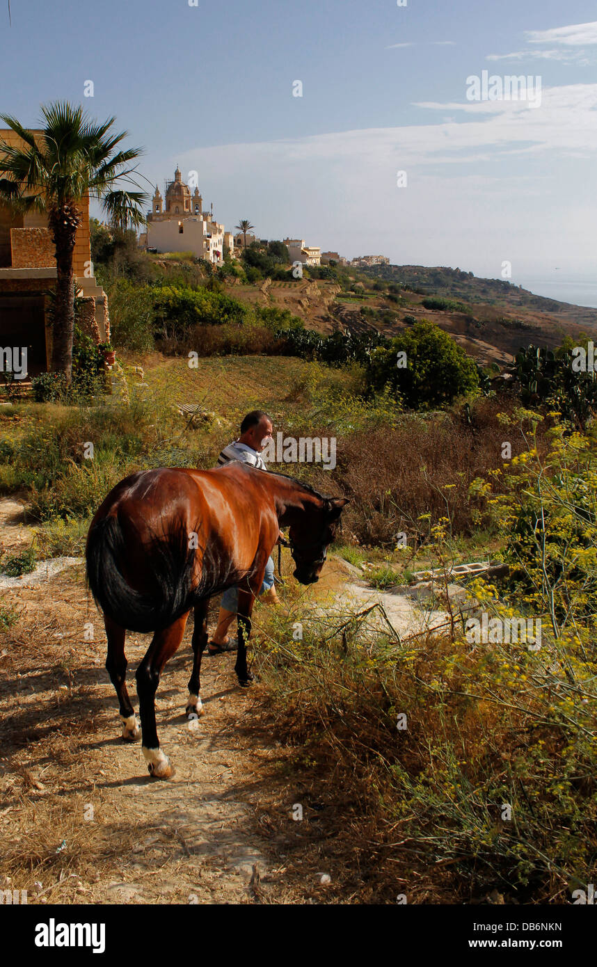 A villager walks with his horse in the fields of the island of Gozo ...