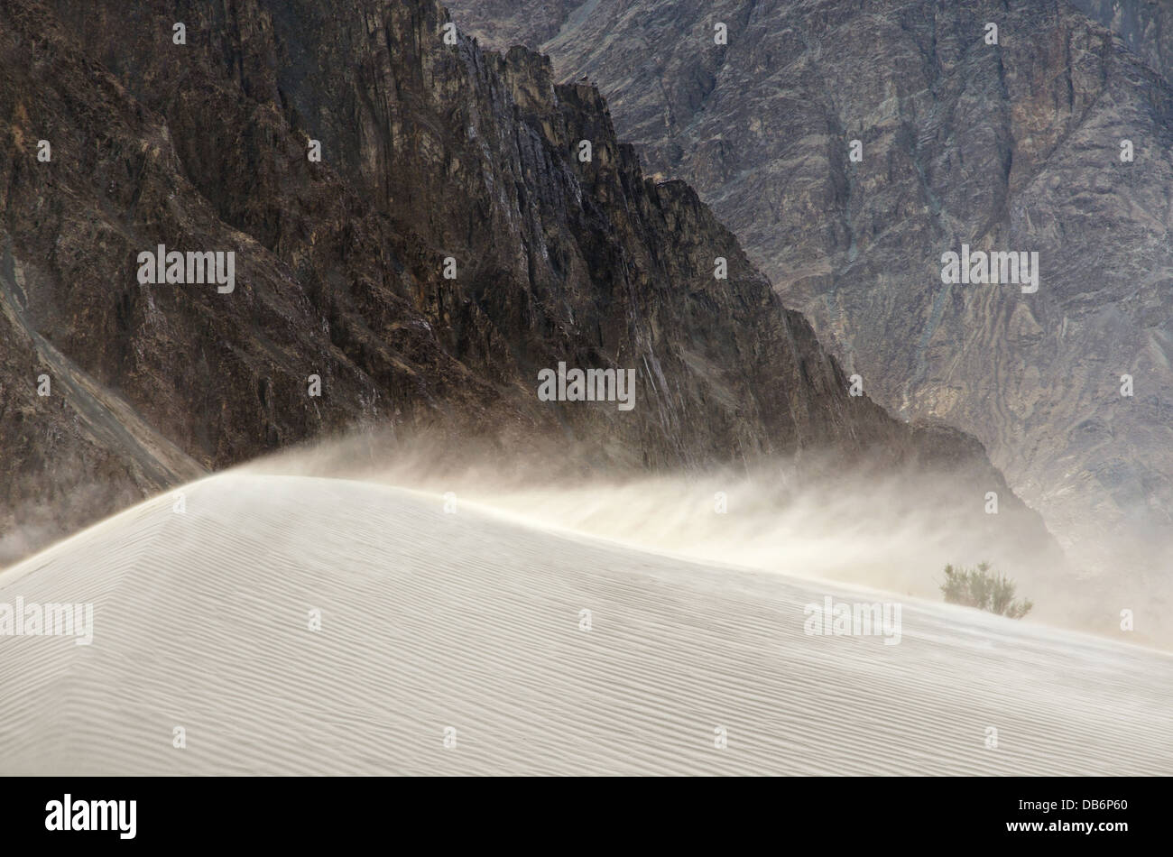 Sandstorm in desert in Nubra valley in Ladakh, India Stock Photo - Alamy