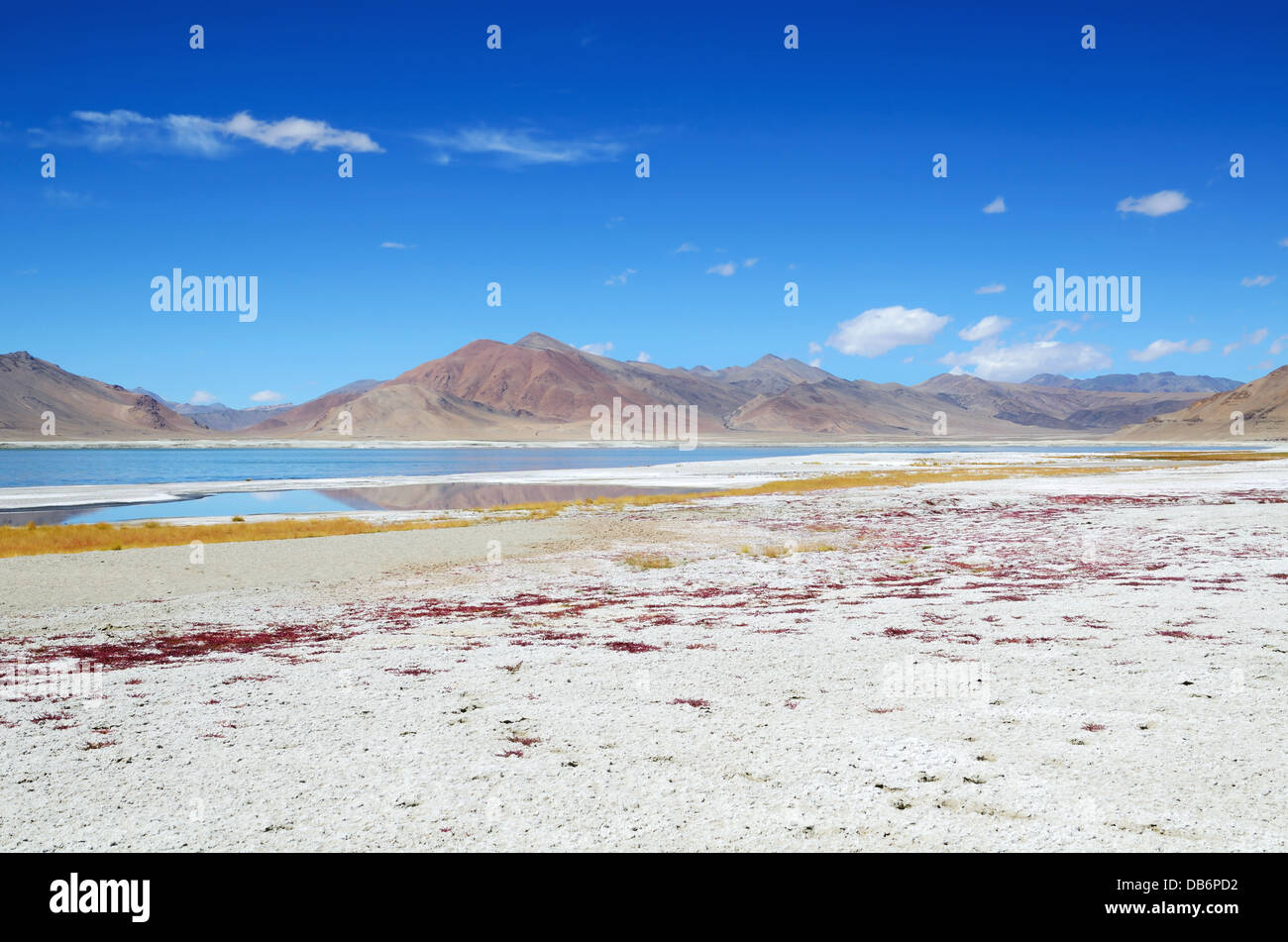 Salt lake Tso Kar in Himalayas, Ladakh, India, altitude 4530 m Stock Photo - Alamy