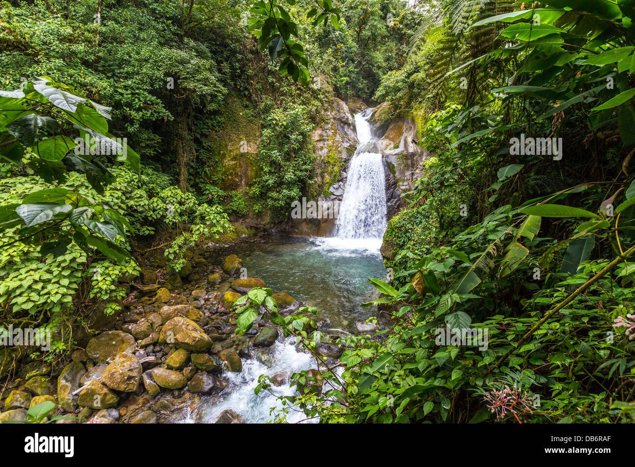 Cloudbridge nature reserve hi-res stock photography and images - Alamy