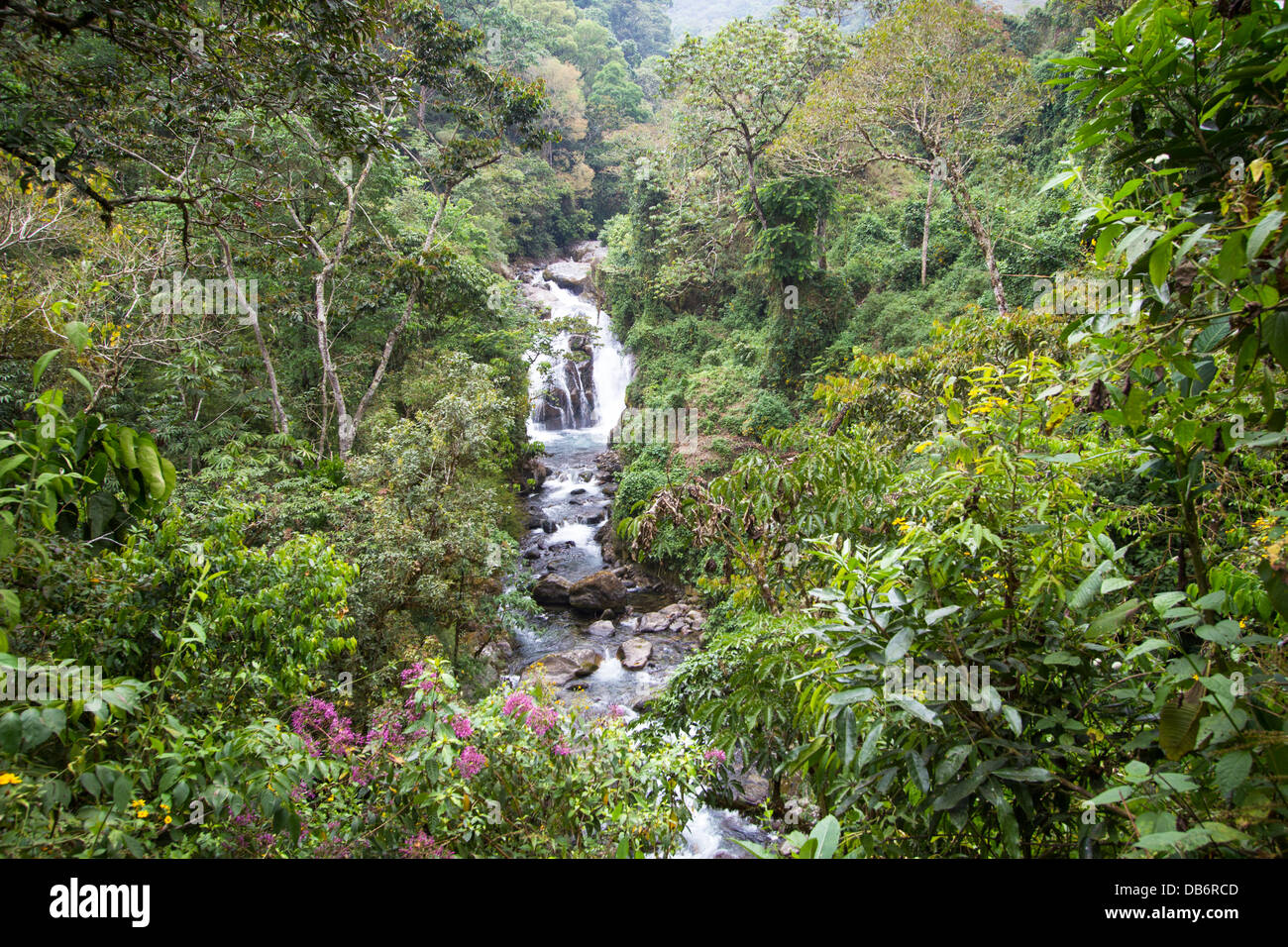 Cloudbridge reserve hi-res stock photography and images - Alamy