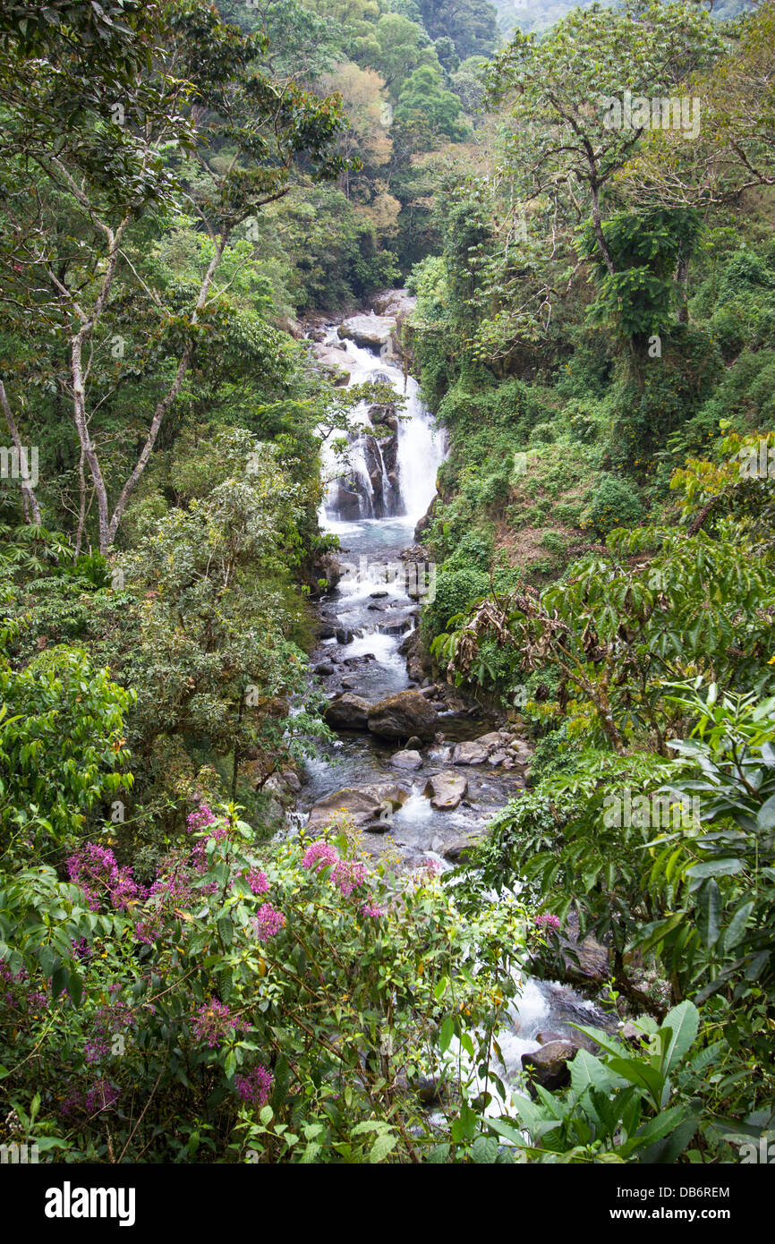 Cloudbridge costa rica hi-res stock photography and images - Alamy