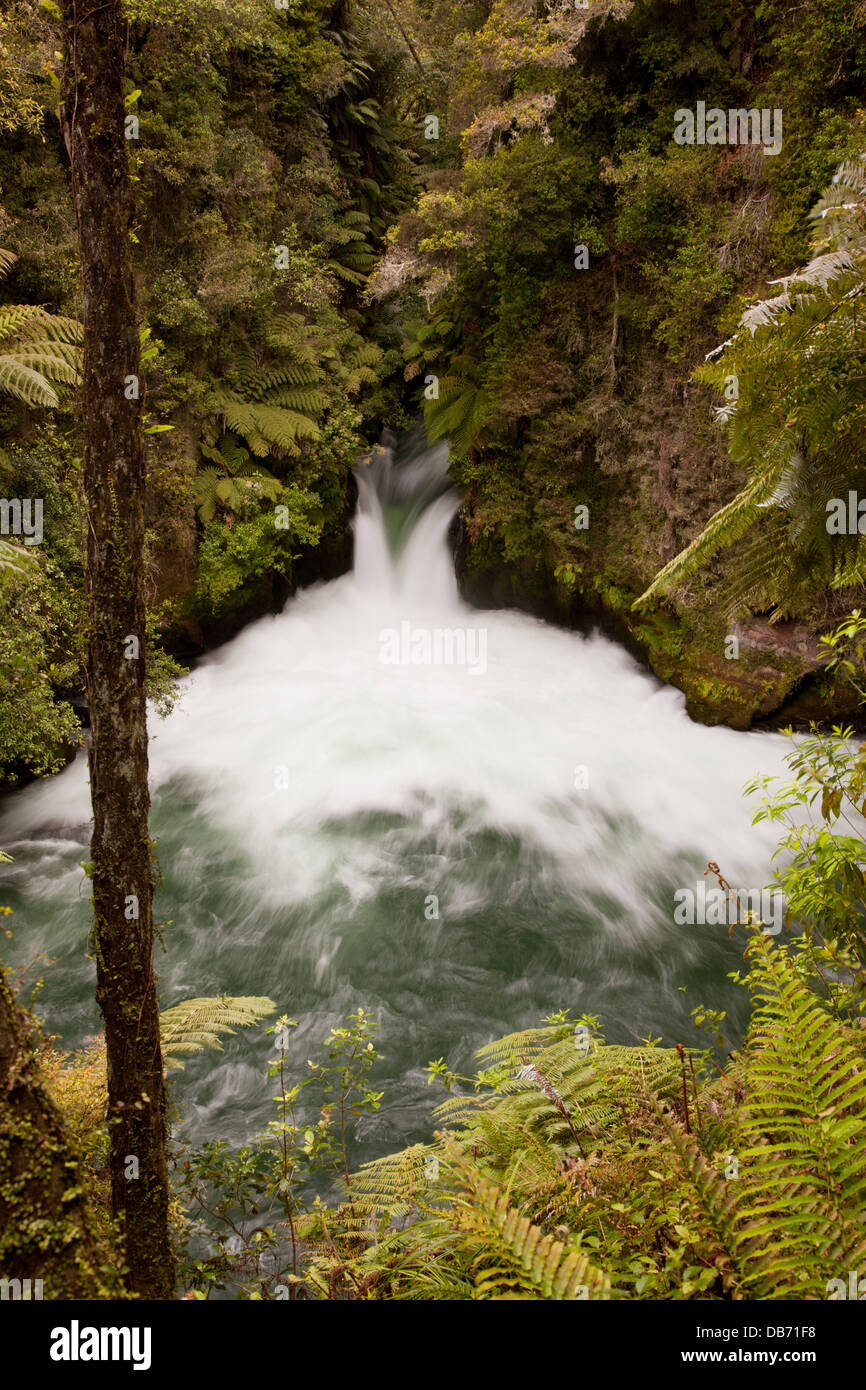 Kaituna River New Zealand High Resolution Stock Photography and Images ...