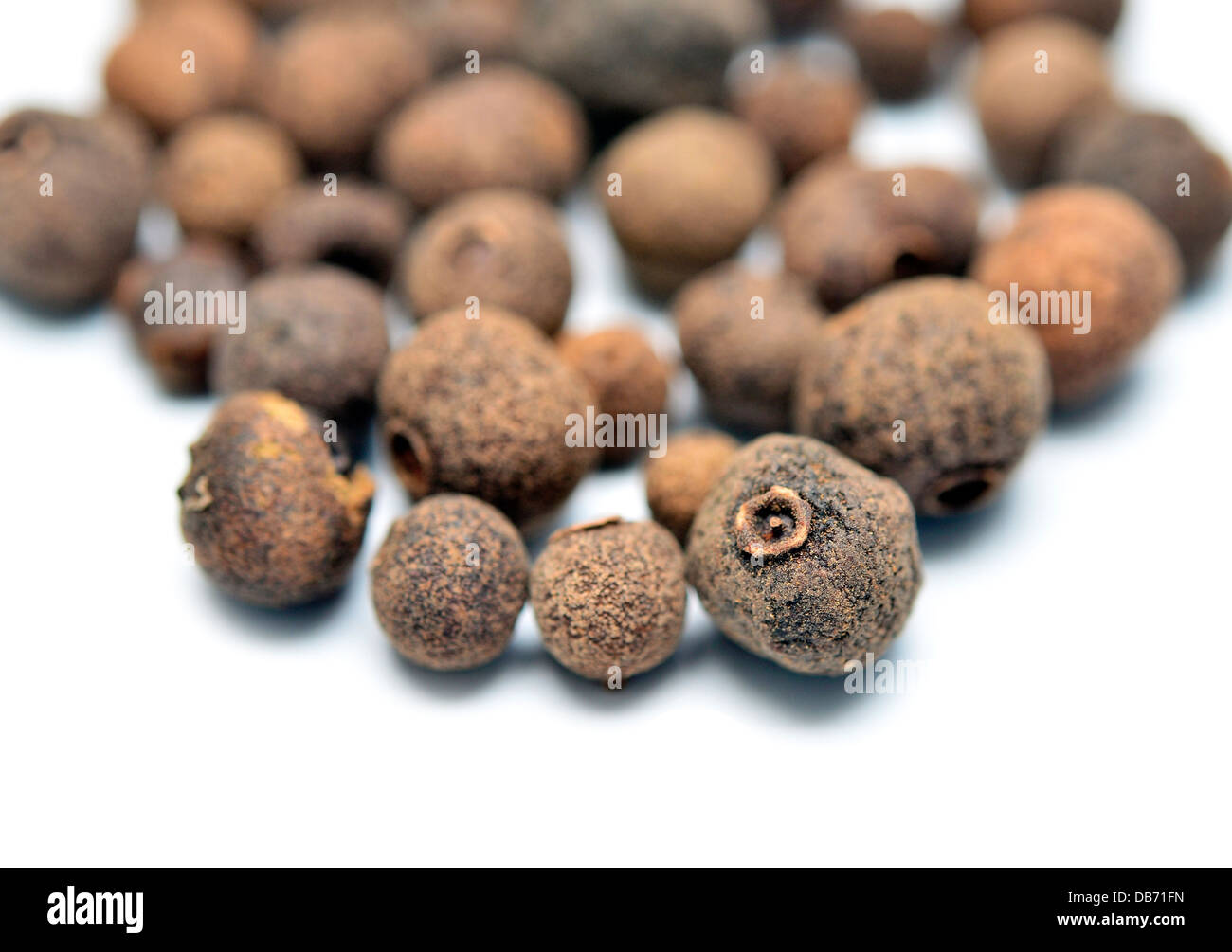 black whole pepper on a white background Stock Photo - Alamy