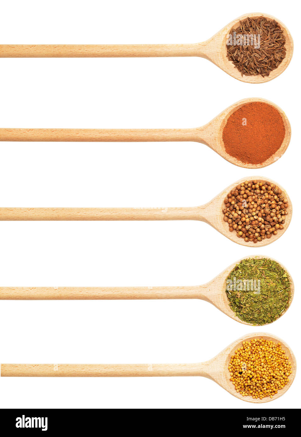 collection of spices in wooden spoons (cumin, cinnamon, coriander, dry ...