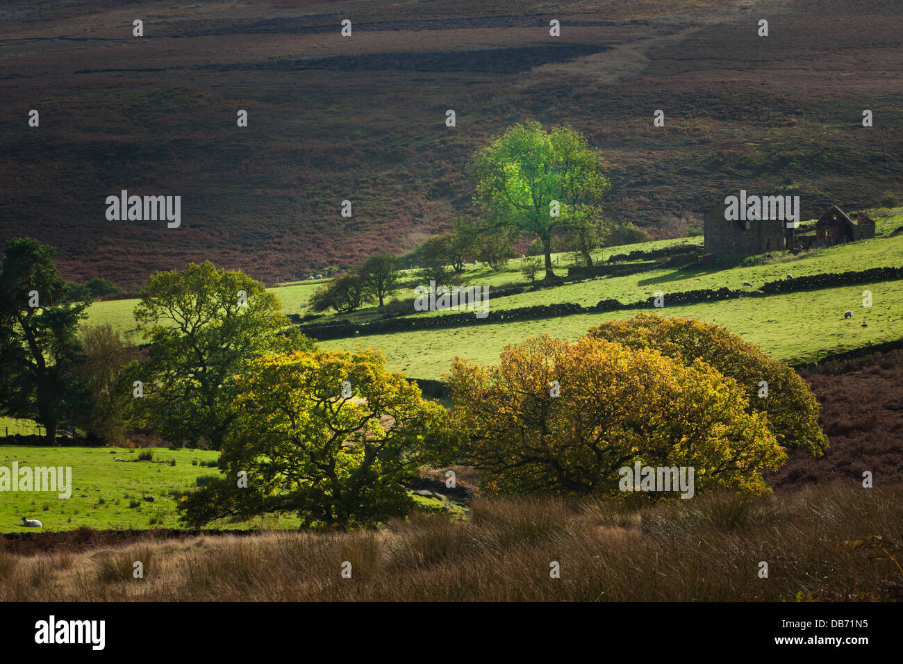 Dale Head, North Yorkshire Stock Photo - Alamy
