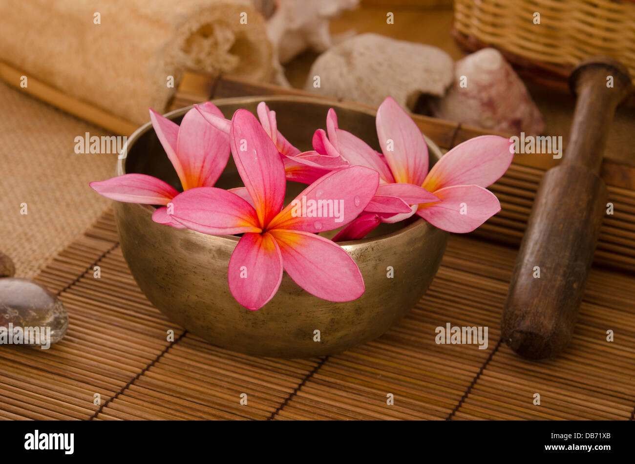 tropical spa setup with traditional frangipani flower and massage items ...